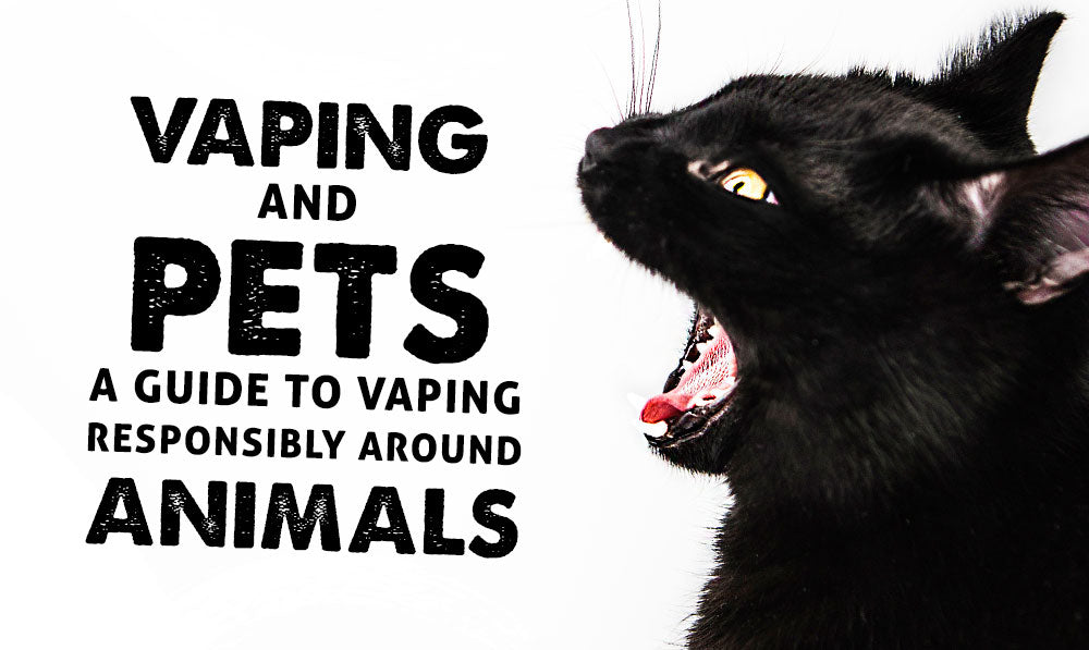 A Guide to Vaping Responsibly Around Animals | Exxus – Exxus Vape